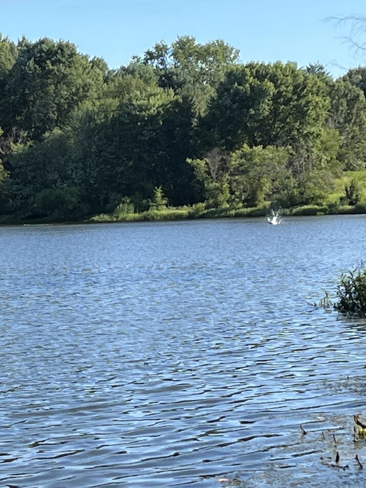 The big one got away again: Went fishing 🎣 in 79.8 degrees Dam Site 21 during a nor’easter this ...