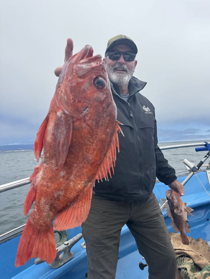 Bay Area rock cod: Mixed bag…nothing huge but nice on the dinner plate...