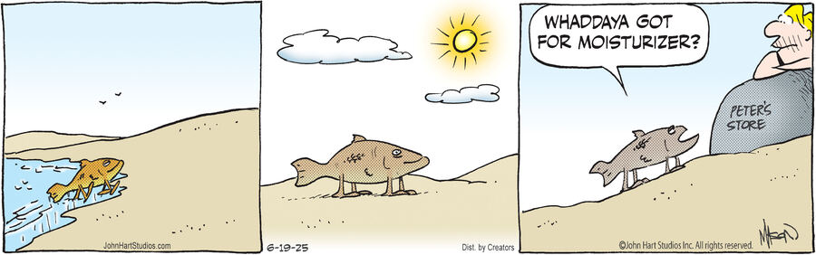 Fishing Comics: Enjoy...