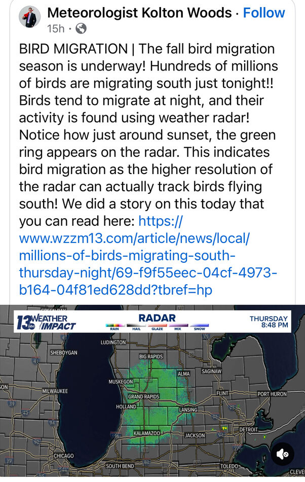 Bird Migration: Last night, Bird migration was caught on weather radar ...