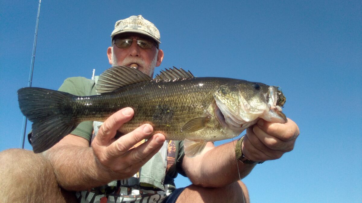 Before football Frogn' 🐸: I went to pymatuning on Friday and got 5 ...