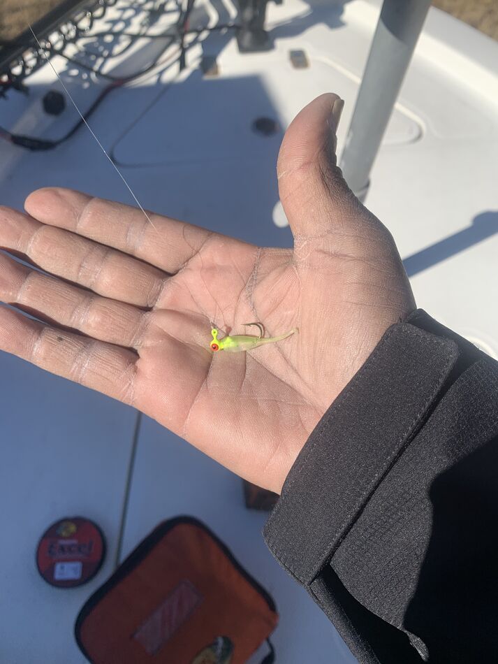 Lake Sinclair (Size does Matter): I was puffed up on getting some more ...