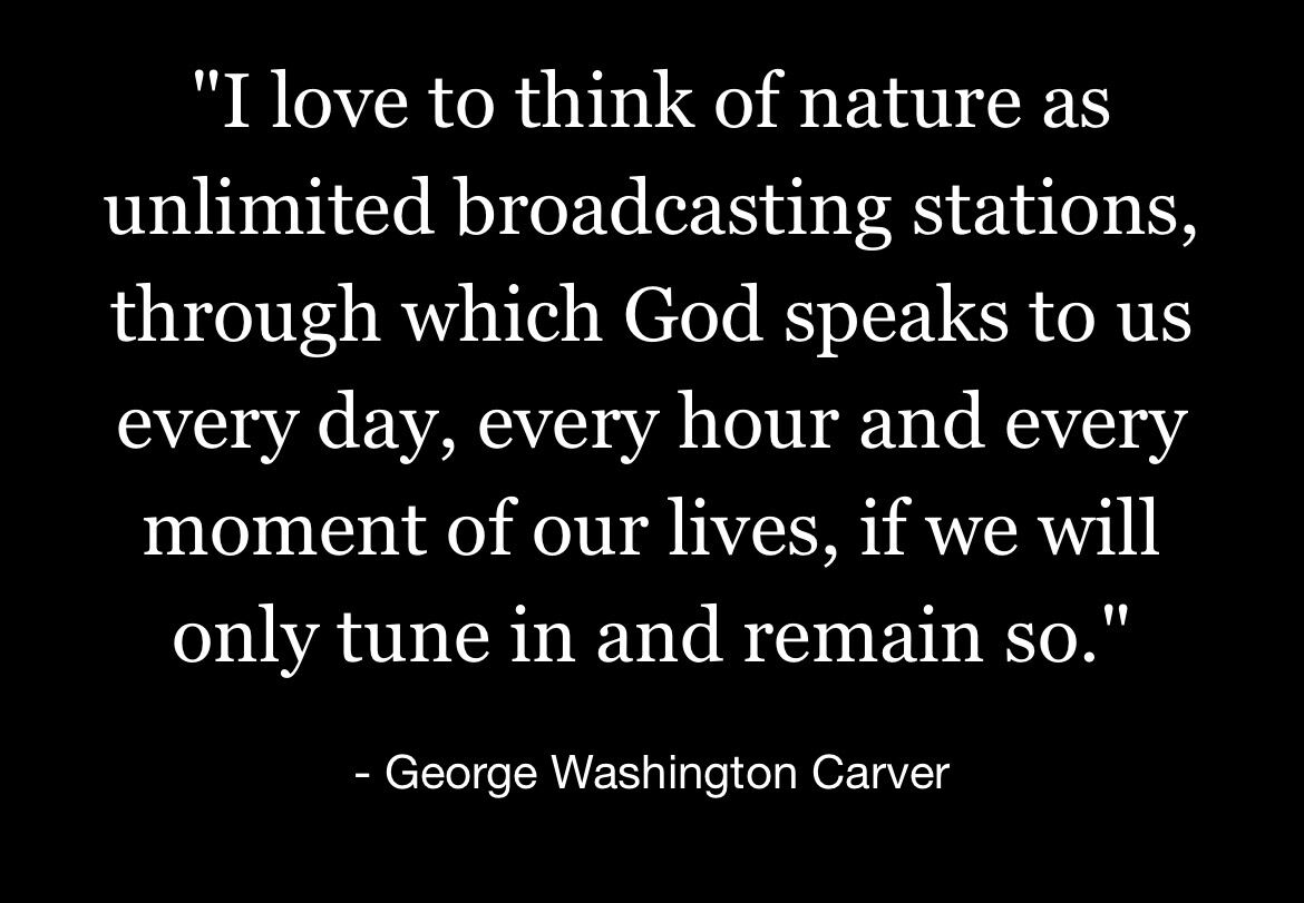 Thought for Today 1/11/2026: Kudos to Jer for sending this meme my way ...