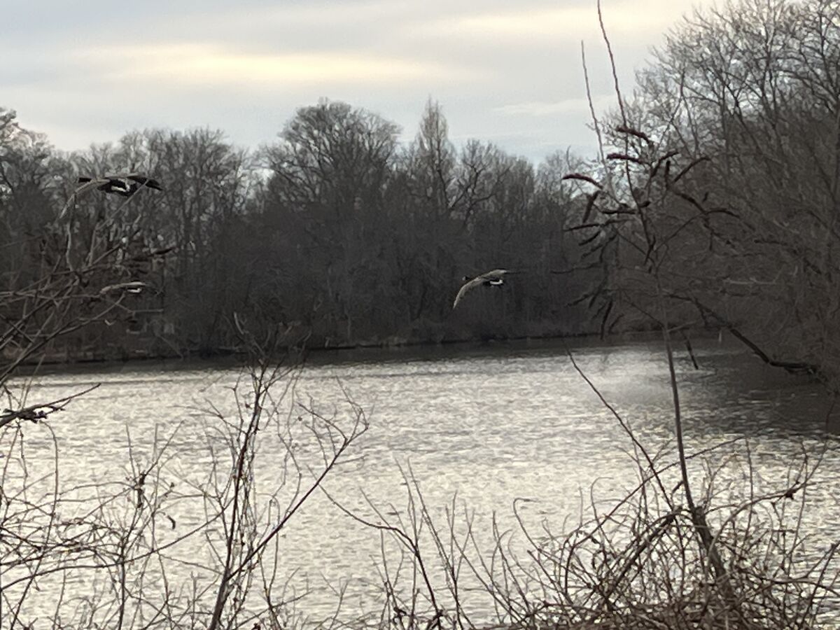 Caught a shad on a minnow at night: Went fishing 🎣 in 44 degrees ...