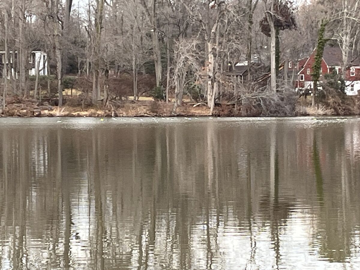 Caught a shad on a minnow at night: Went fishing 🎣 in 44 degrees ...
