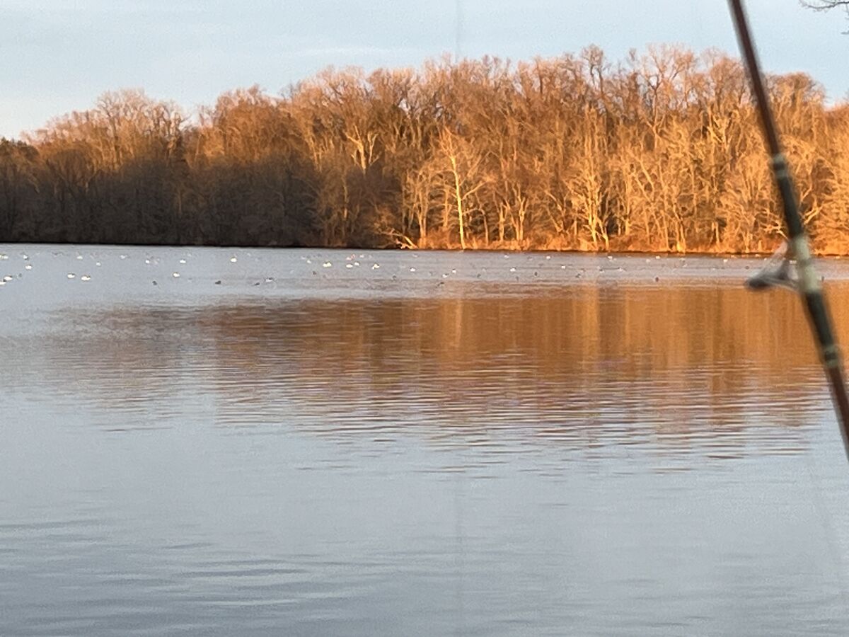 Caught a shad on a minnow at night: Went fishing 🎣 in 44 degrees ...