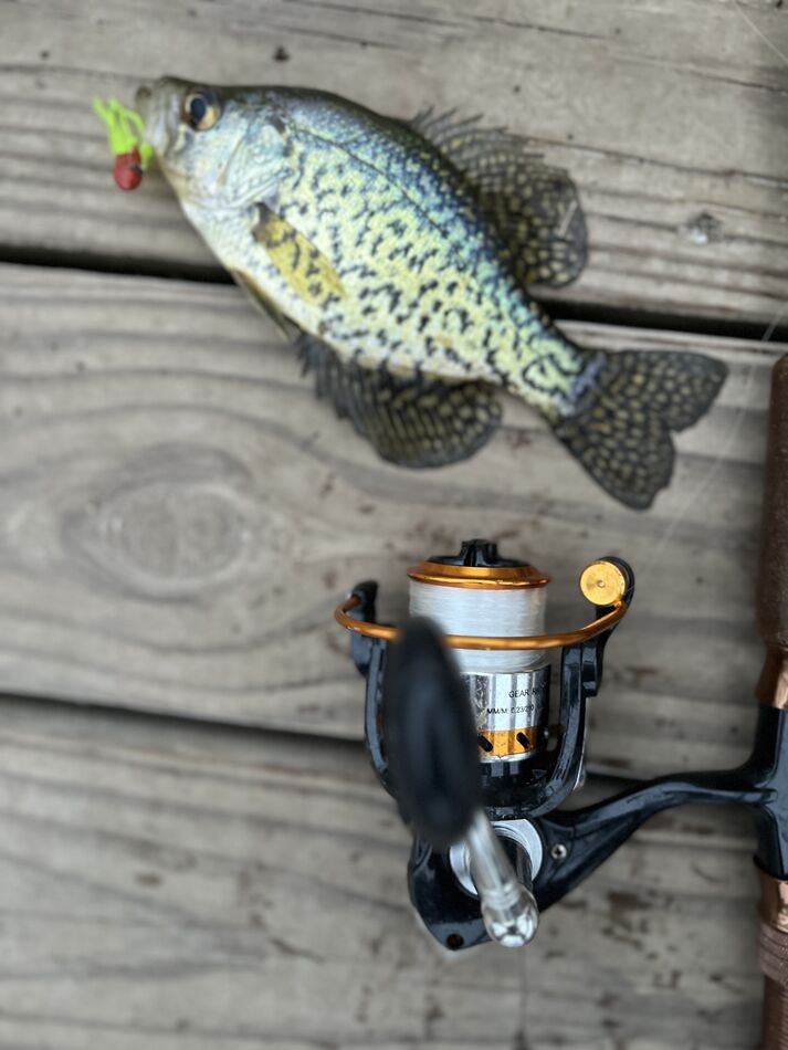 Caught 6 fish 🐠 of 4 species in one spot with the Game Warden: Went ...