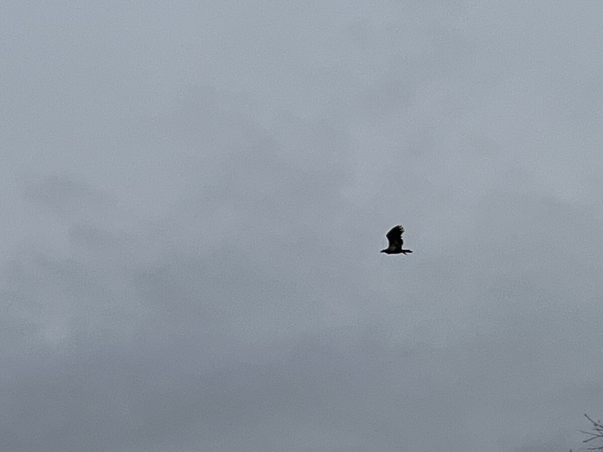 Caught 6 fish 🐠 of 4 species in one spot with the Game Warden: Went ...