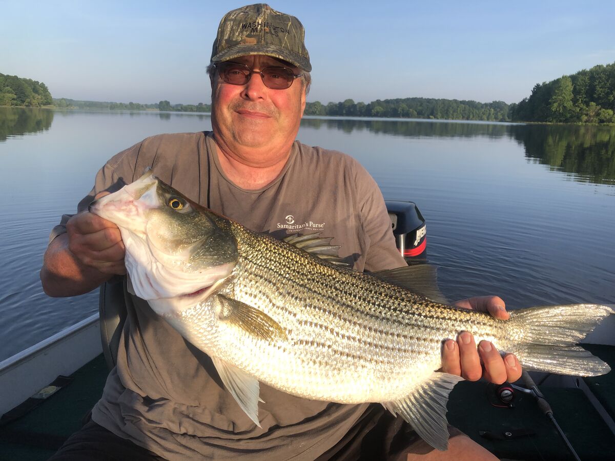 Hybrid Striper Fishing in Northeast Ohio - Would you kill the state ...