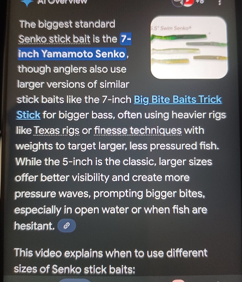 Cabelas bass pro shops 7 1/8” stick O worms: Went to cabelas today and ...