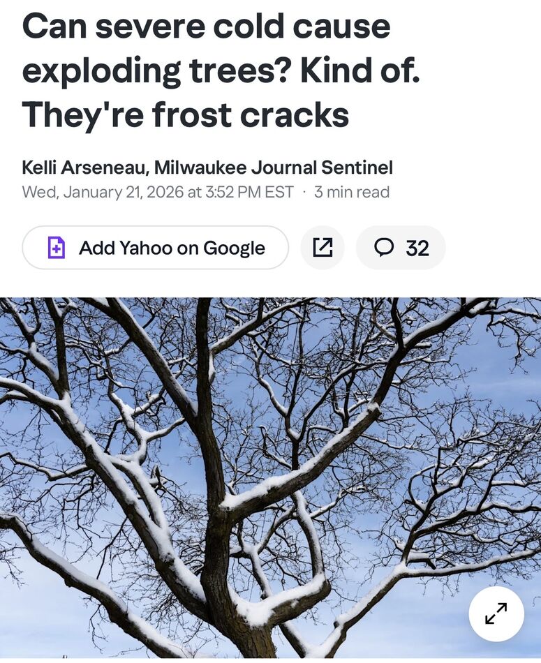 Cold weather fact: Exploding trees? I want to know who will be outside ...