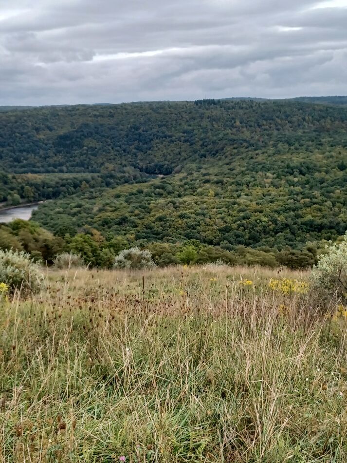 Thought for Today 1/26/2026: I could write a book on the theme of this ...