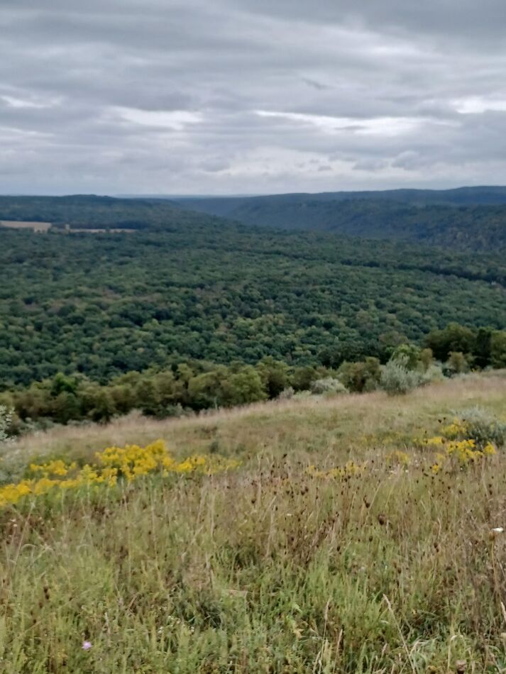 Thought for Today 1/26/2026: I could write a book on the theme of this ...