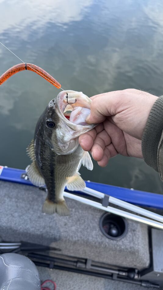Boat Ramp Etiquette (Page 6): It might be a benefit if basic rules were ...