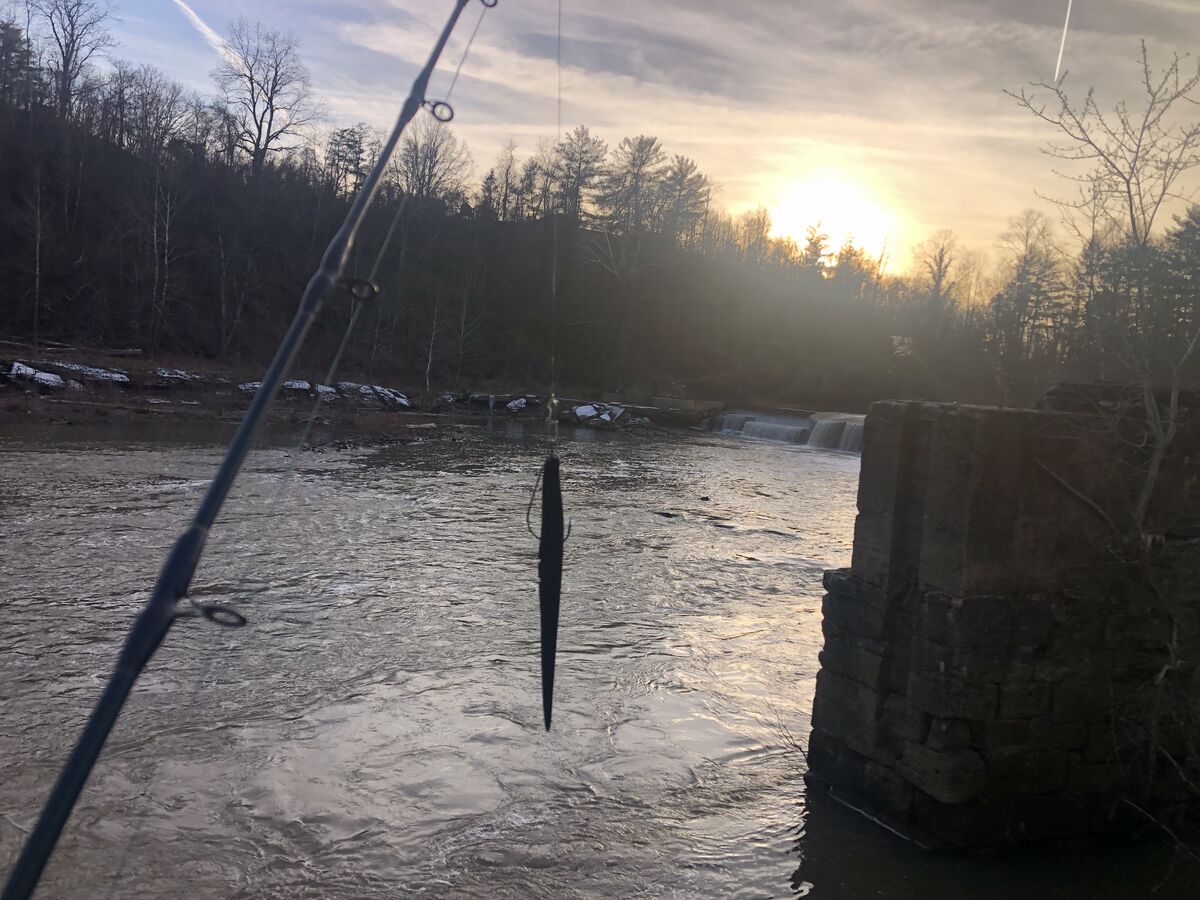 2026 season is under way: I’m starting out with a big fat 🦨 I tried a ...