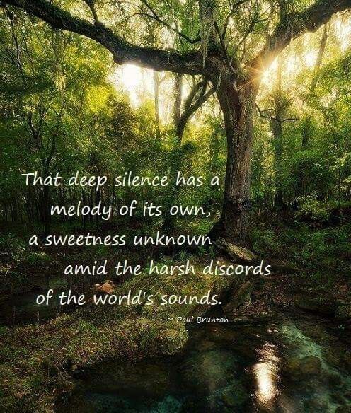 Thought for Today 2/8/26: There is a still small voice that can be ...
