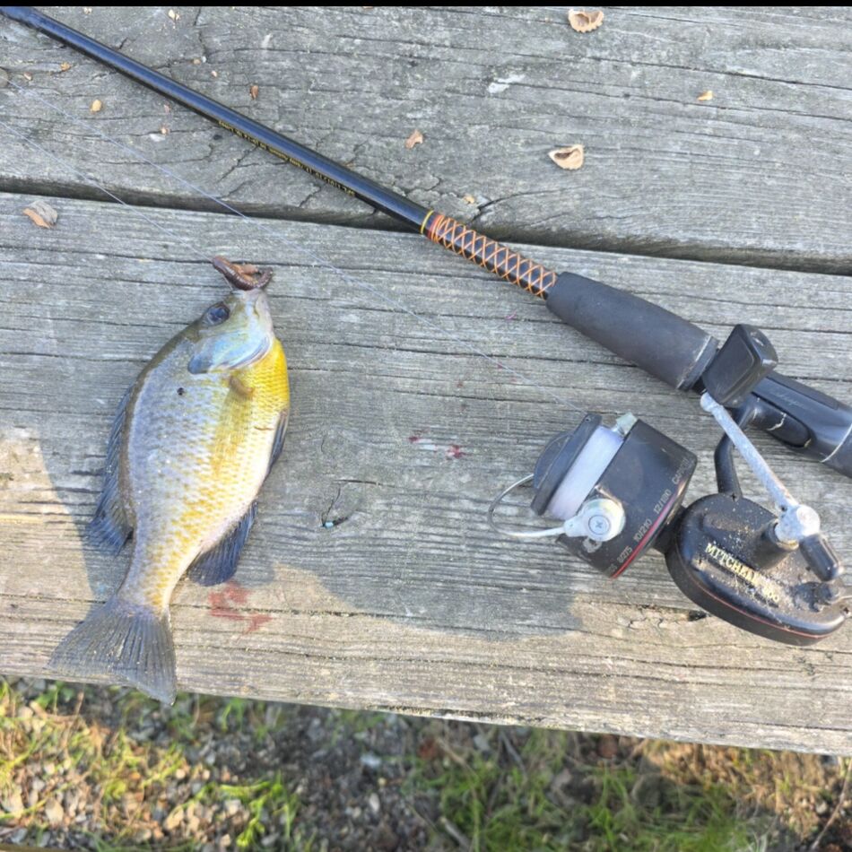 Is anyone still using those old Mitchell 300 reels from back in the day ...