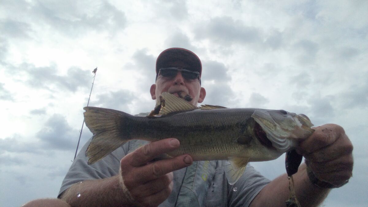 Wednesday 1/2 day Frogn' 🐸: My half day went pretty good I got 10 for ...