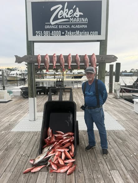 Good day off shore: Great day fishing on the Gulf of America...