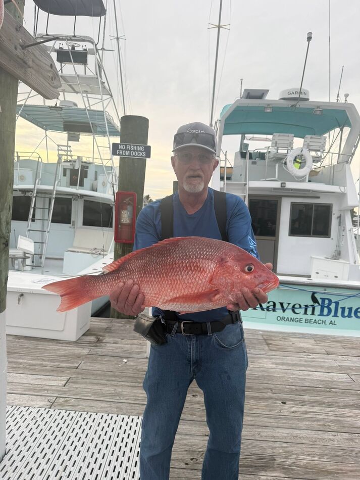 Good day off shore: Great day fishing on the Gulf of America...