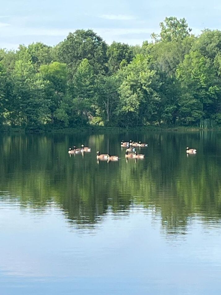 11.5” white perch: Went fishing 🎣 in 90 degrees Dam Site 21 yesterday ...