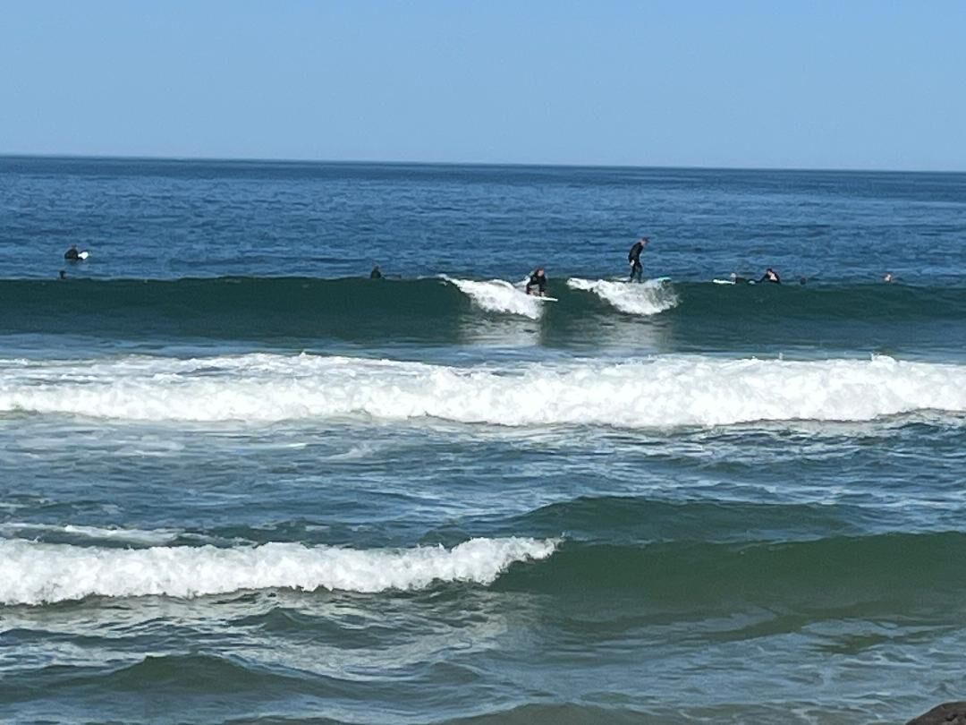 Caught 13 bluefish with 16 casts: Went fishing 🎣 in Manasquan Inlet ...